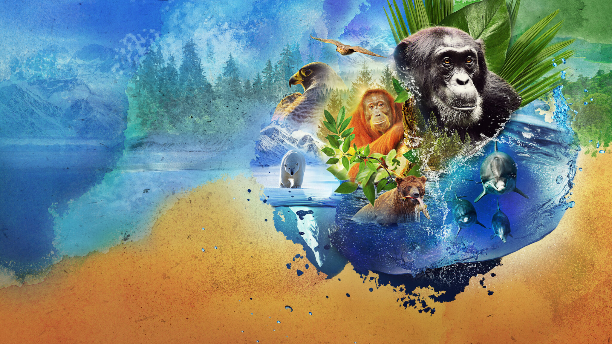 Watch Animal | Netflix Official Site