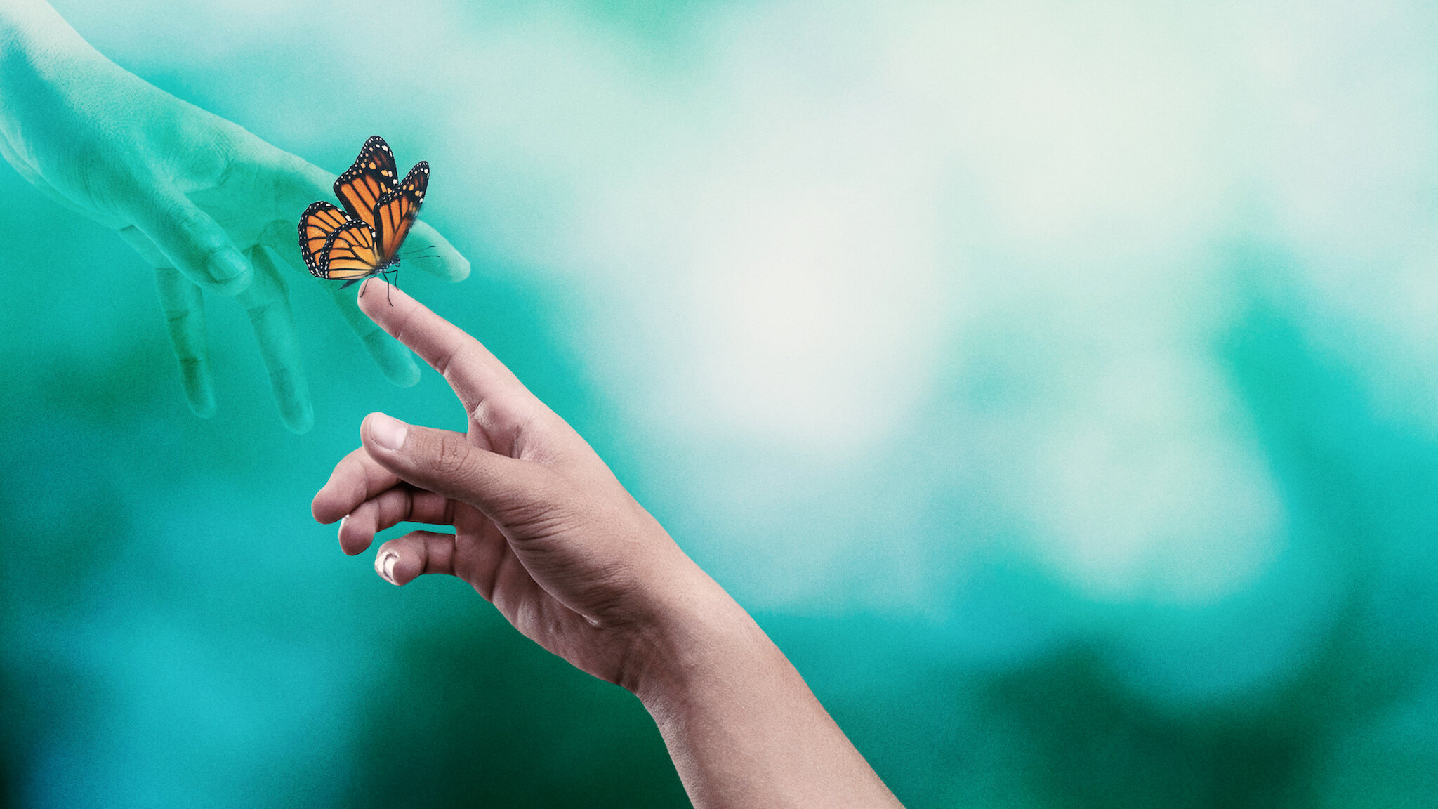 Watch Surviving Death | Netflix Official Site