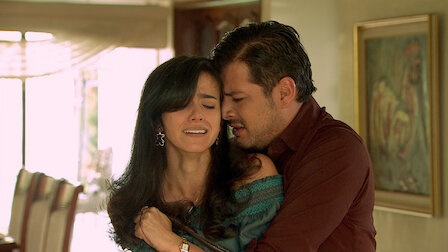 Watch El Cartel 2 | Netflix