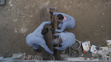 Watch Crime Diaries: Night Out | Netflix Official Site