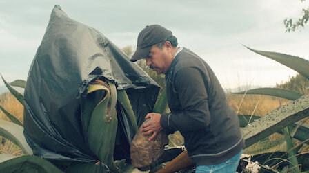 Las crónicas del taco | Sitio oficial de Netflix