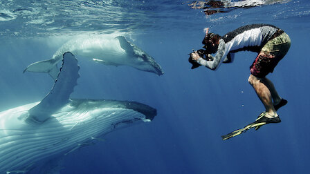 Watch Tales by Light | Netflix Official Site