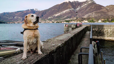 Watch Dogs | Netflix Official Site