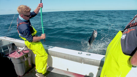 Watch Battlefish | Netflix Official Site