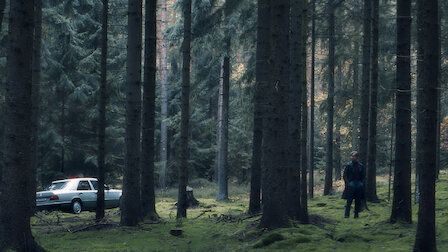 Watch Dig Deeper: The Disappearance of Birgit Meier | Netflix Official Site