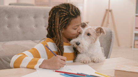 Watch Explained | Netflix Official Site